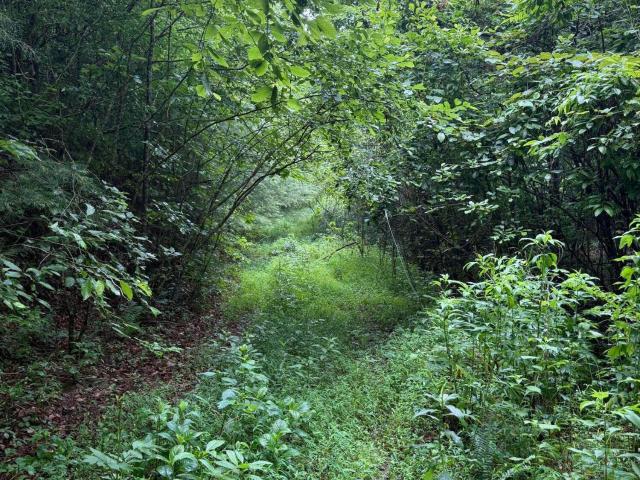 00 Poley Morrow Road