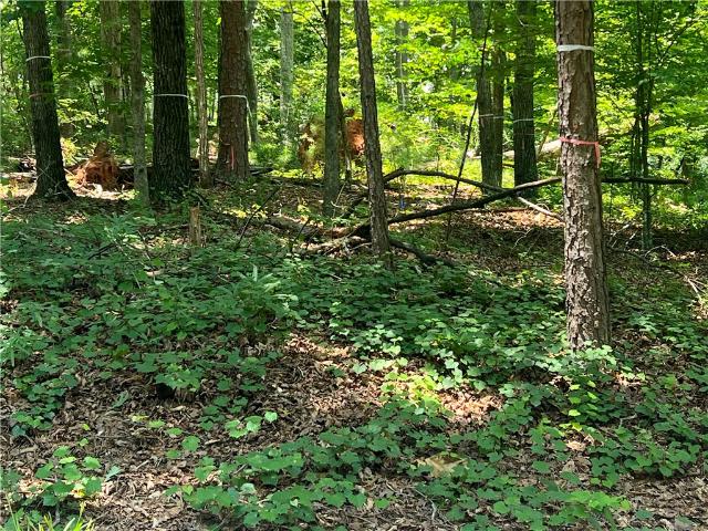 00 Promontory Ridge Lot 45 Stillwater