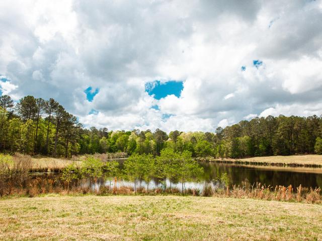 00 Ralph Goolsby Road
