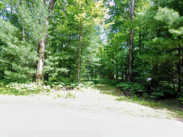 00 Red Oak Drive