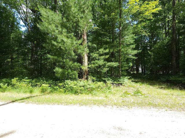 00 Red Oak Trail