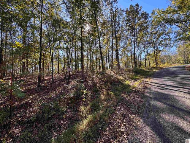 00 Ridge Road