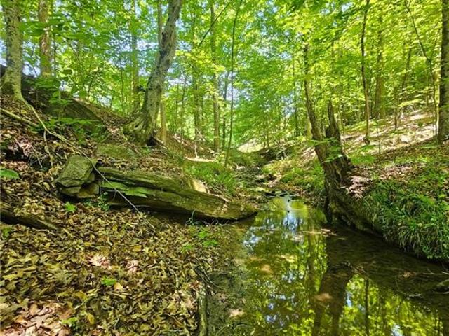 00 Ridgedale Road