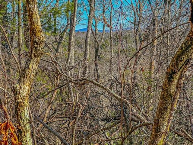 00 River Highlands Road