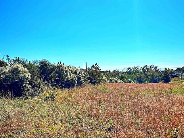 00 Riverfork Road