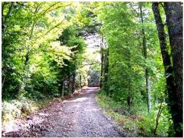 00 Rocky Creek Rd Single Family Home for sale in Andrews, North Carolina