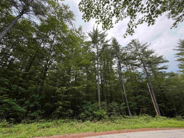 00 Rolling Ridge Road