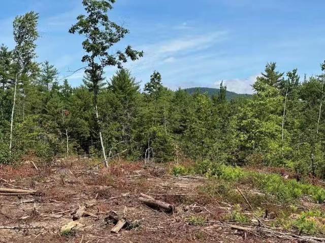 00 Route 153, Effingham, NH 03882 653960326