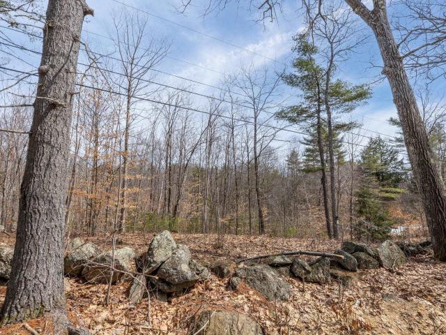 00 Roxbury Road # Lot 1