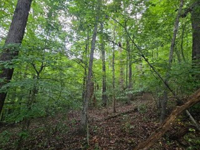 00 Rt 3 Rock Crk, Arnett, WV 25007