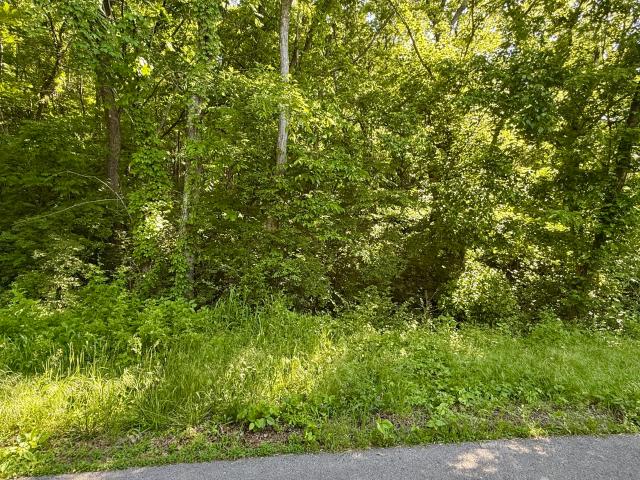 00 S Rushy Springs Road