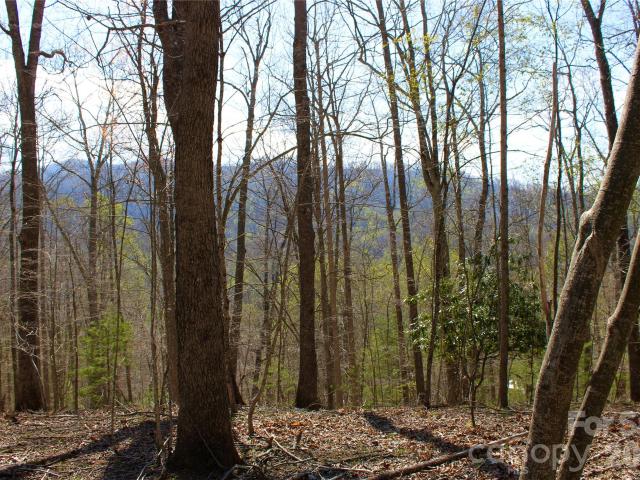 00 Scenic View Drive # 1 & 2
