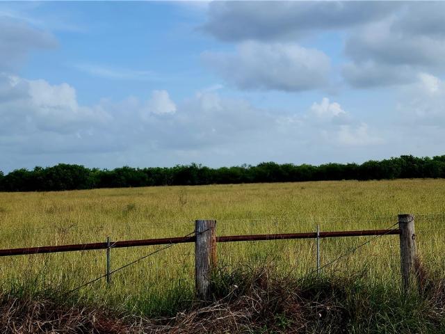 00 San Antonio River Road