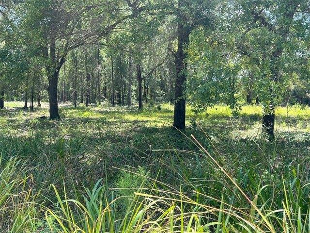 00 SE 77th Ln, Trenton, FL 32693