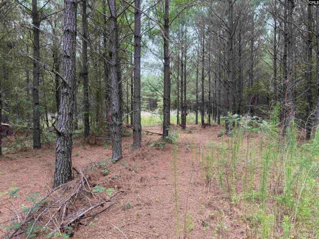 00 Seivern Road Lot 7 A