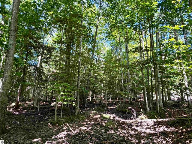 00 Shawnee Trail