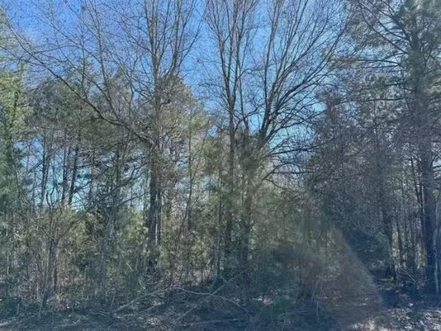 00 Shell Street St, Cleveland, TX 77327 MLS 63237370