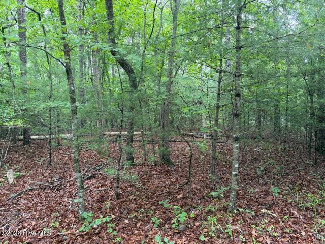 00 Snow Hill Ridge Road