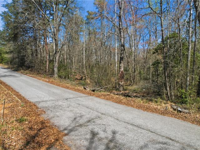 00 Springdale Avenue