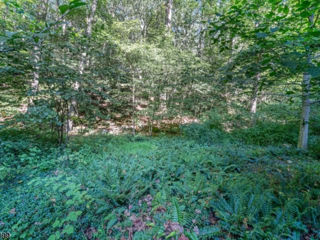 00 Sweet Hollow Road