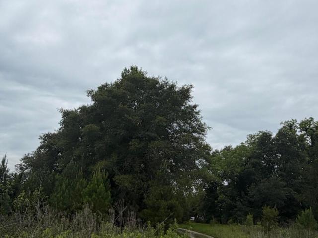 00 State Road