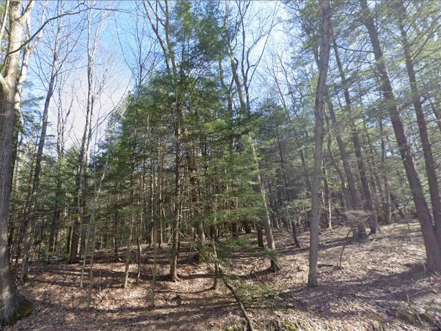00 Stagers Rd