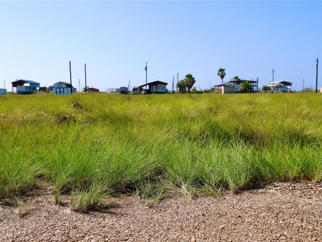 00 Starfish Street