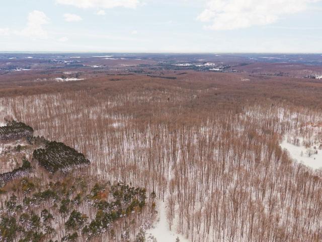 00 Stark Road # Lot: 17