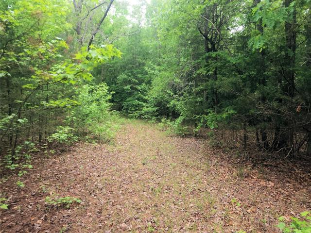 00 Stewart Dairy Road