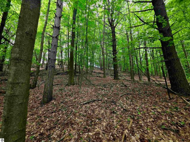 00 Sugar Bush Road