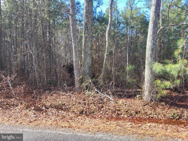 00E Bogey Neck Rd