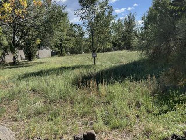 00XX W Navajo Ln Unit 151, Pinetop Lakeside, AZ 85929