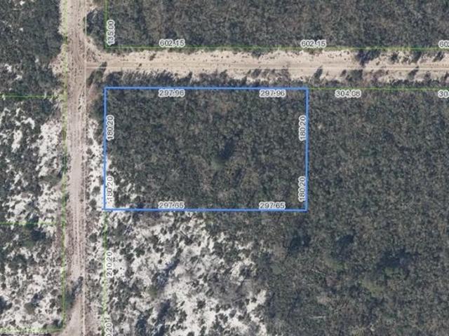 010 0000 8 Dr, Avon Park, FL 33825