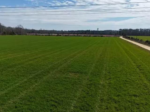 010 BAR M FARM ROAD, ANDALUSIA, AL 36421