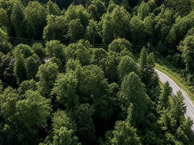 010 Libby Cir Lot 10, Lexington, TN 38351