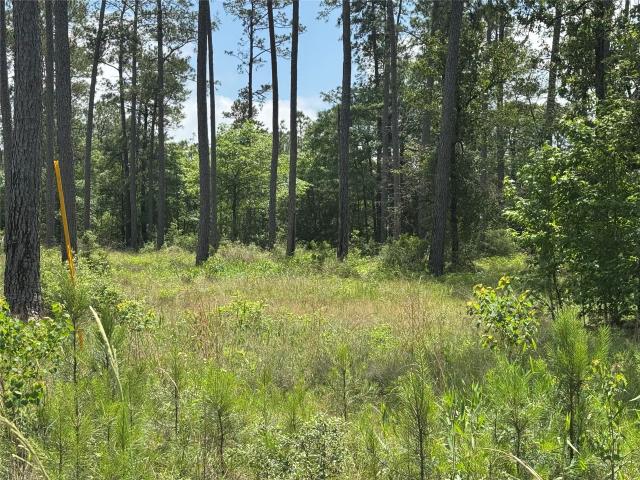 011 Private Road 6028