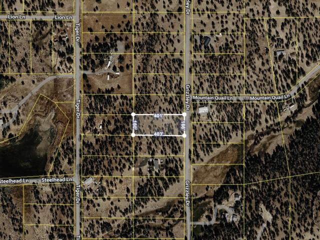 013 09 Grizzley Drive