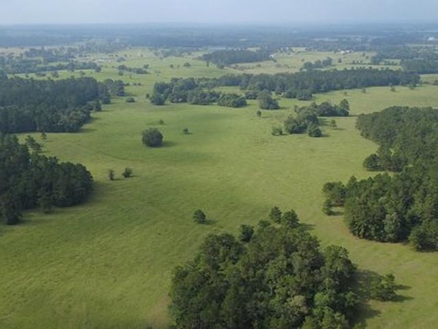 013 Alana Nell Ct, Huntsville, TX 77340