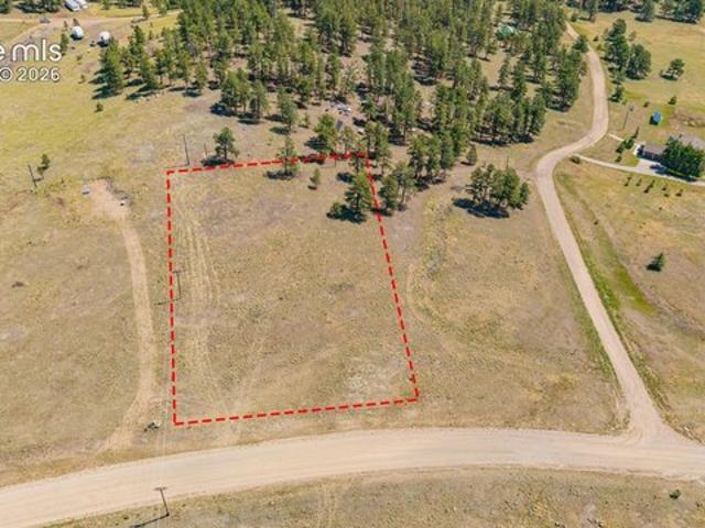 014 County Road 403, Florissant, CO 80816