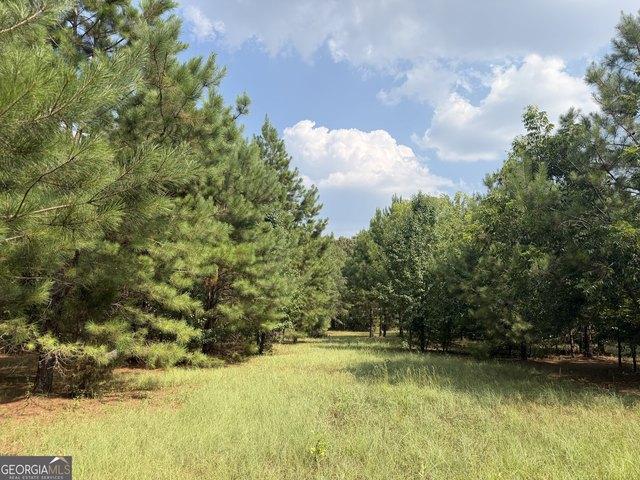 014 S Carter Fish Pond Rd, Plains, GA 31780