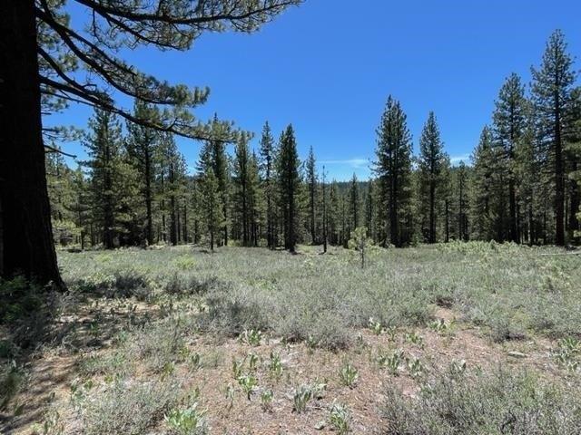 019 080 0 Groundhog Rock, Sierraville, CA 96125