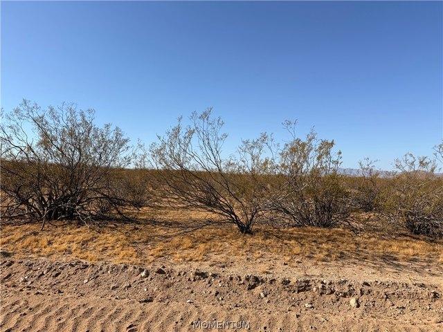 019 W Hermit Dr, Golden Valley, AZ 86413