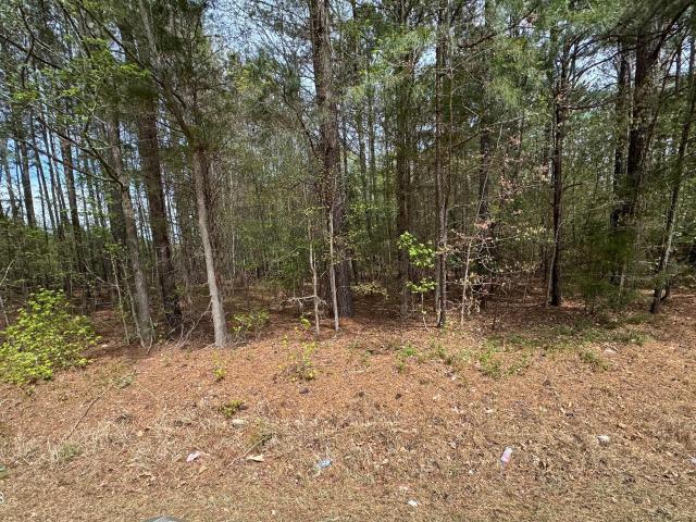 01 W Antioch Drive