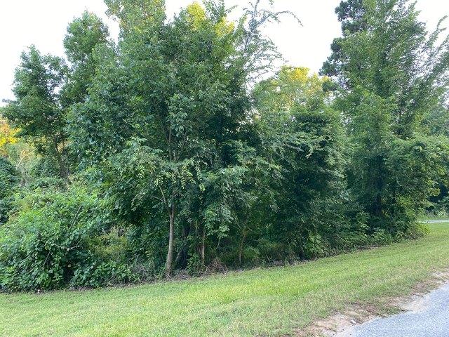 01 White Oak Dr, Pointblank, TX 77364