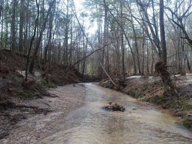 01 Horseshoe Loop, Brookhaven, MS 39601 641818472