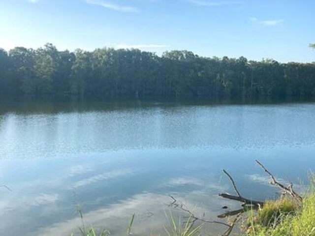 01 Long Lake Rd, Columbia, LA 71418