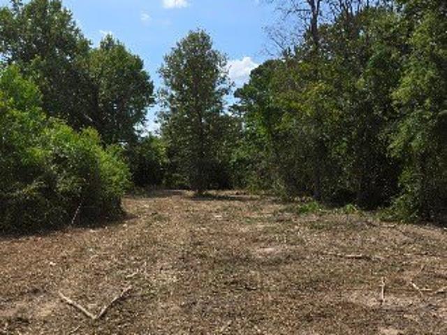 01 Percy Burns Rd, Springhill, LA 71075