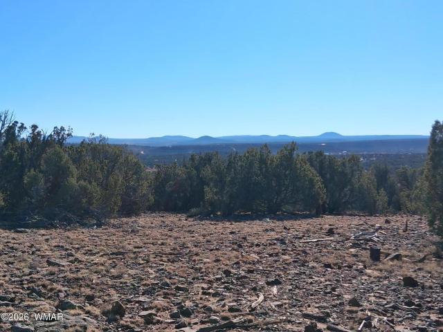 0203 County Road