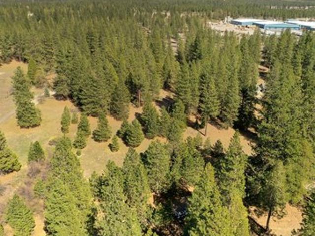 021 170 Alves Dr, Weed, CA 96094