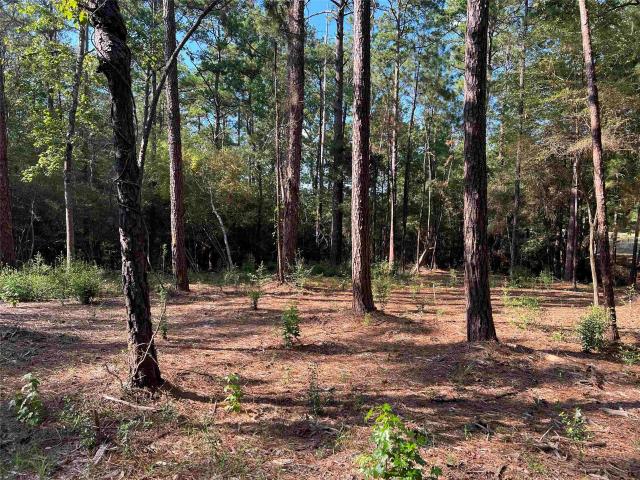 021 Private Rd 6028